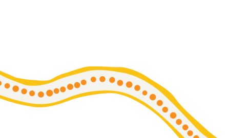 Specialised Homelessness Services | TAIHS